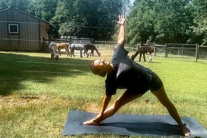 Alpaca and Llama Encounter with Guided Walk - The Value of This Experience