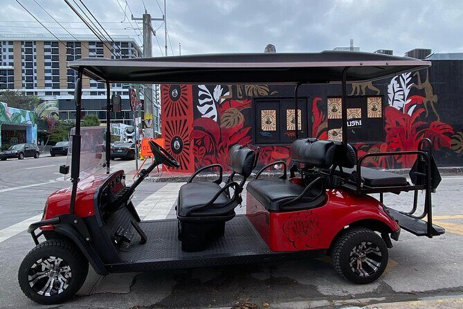 Artist Lead VIP Golf Cart Graffiti Tour - 2-5 ppl - Who Should Consider This Tour?