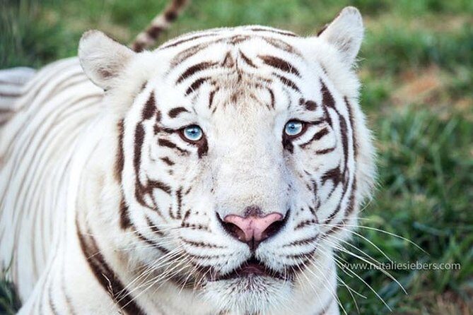 Awareness Tour - Why This Tour Works Well for Travelers