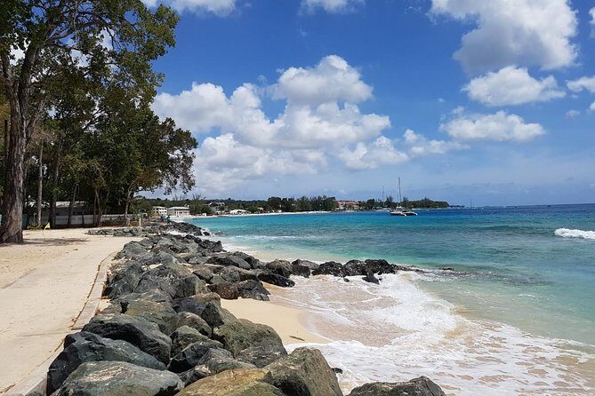 Barbados Half Day Coastal Sightseeing Private Tour - Insights from Reviewers