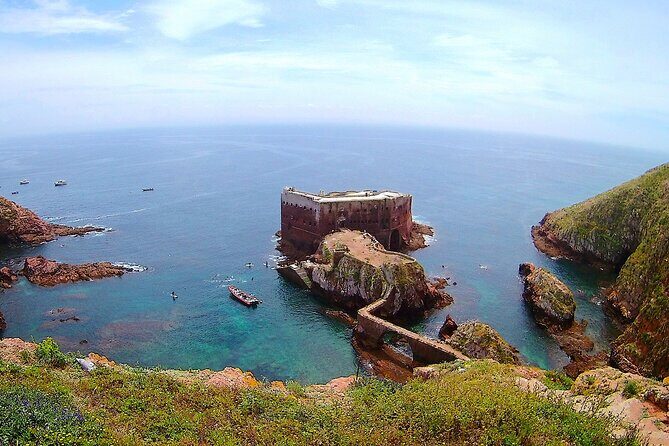 Berlengas Island Catamaran Tour - Round Trip - Experience Quality and Value