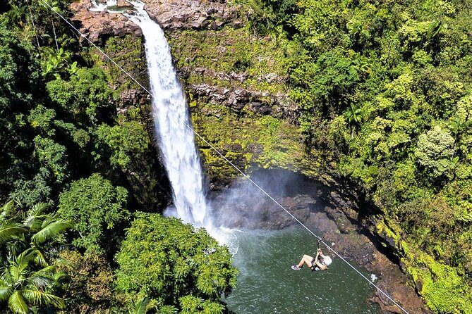 Big Island Zipline over KoleKole Falls w/ Hilo Cruise Ship Pickup - The Scenic and Botanical Highlights