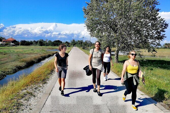 Bike tour with honey and artichockes on SantErasmo island