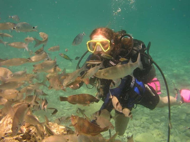 Bodrum diving day for advanced and beginner divers