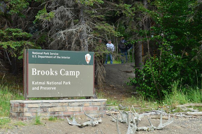 Brooks Falls Katmai Bear Viewing in a Float Plane - The Hike to the Viewing Platform