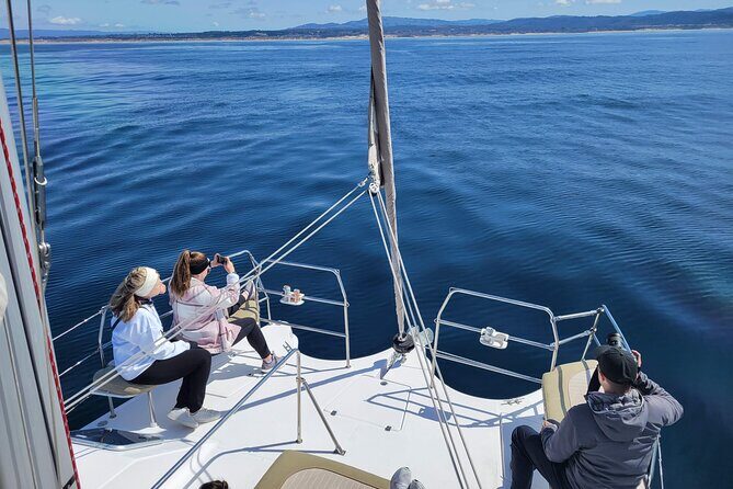 Catamaran Sailing Cruise in Monterey - Who Should Consider This Cruise?