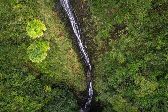 Chasing Waterfalls:Wild Hawaii Rappelling - The Gear and Safety Measures