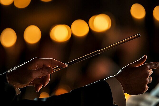 Chicago Grand Illumination Symphony by Tourismo - Who Is This Experience Best For?