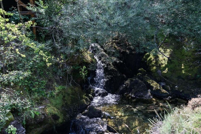 City Trip Struga and Vevchani from Ohrid and Struga