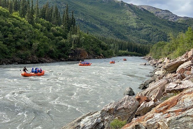 Denali Rafting Wilderness Wave - Who Will Love This Tour?