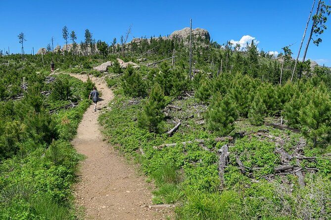 Devil's Tower - Deadwood - Spearfish Canyon Waterfalls + Picnic - FAQ