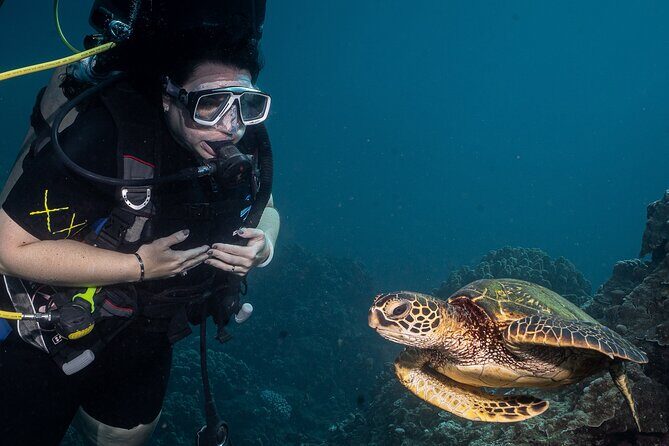 Discover Scuba Diving Class from Lahaina - Introduction: The Allure of Maui’s Underwater World
