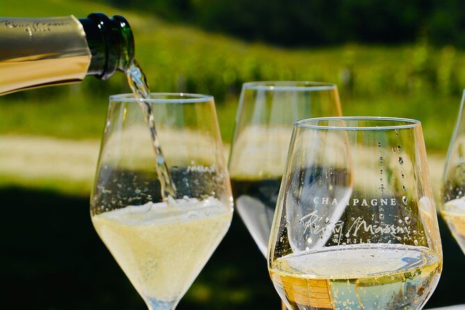 Discovery of a Champagne from Vintner, from the cellar to the tasting