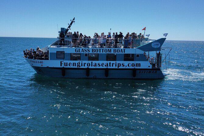 Dolphin watching on a Catamaran in Fuengirola