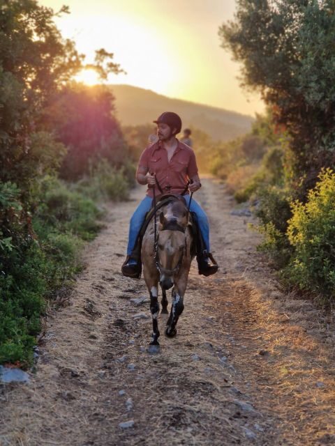 Dubrovnik Kojan Koral: Horseback Riding - Transportation, Group Size & Flexibility