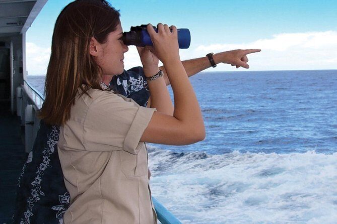 Early Bird Whale Watching Cruise from Waikiki - The Pros and Cons: Is It Worth It?