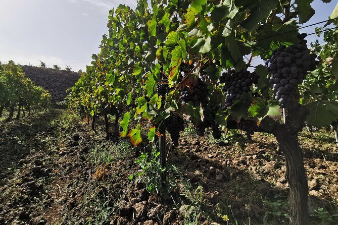 Etna Wine And Taormina From Messina - The Itinerary in Detail