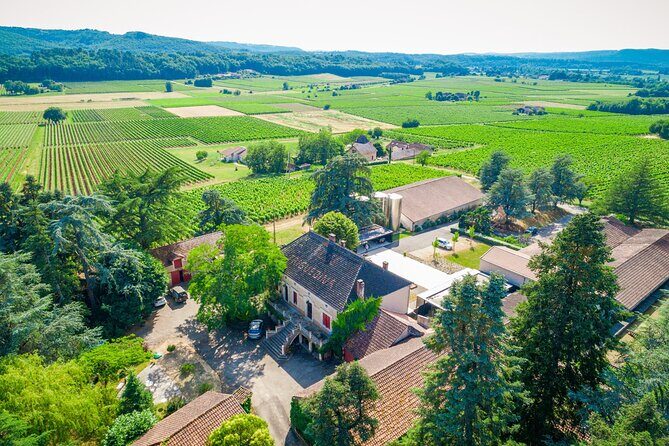 Exceptional visit and tasting of 7 wines - Experience Details and Why They Matter