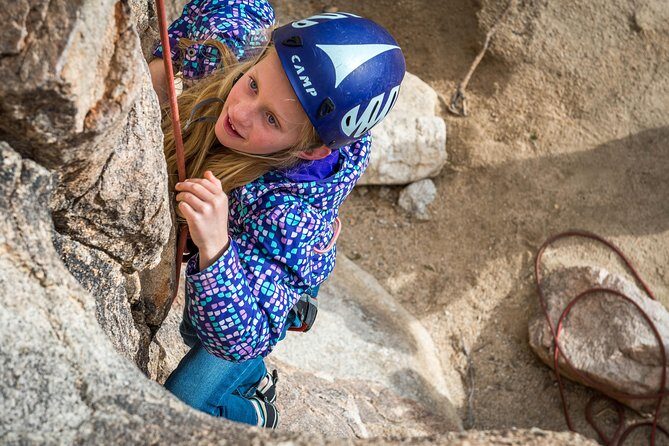 Family Rock Climbing Trips in Joshua Tree National Park (6 Hours) - Who Should Consider This Tour?