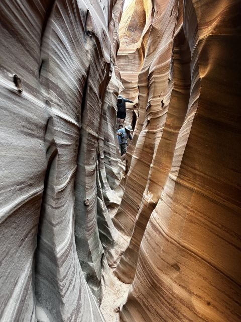 From Escalante: Zebra Slot Canyon Guided Tour and Hike - Why the Guided Tour Adds Value