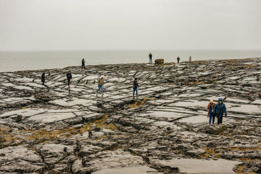 From Galway: Cliffs of Moher and The Burren Guided Day Trip