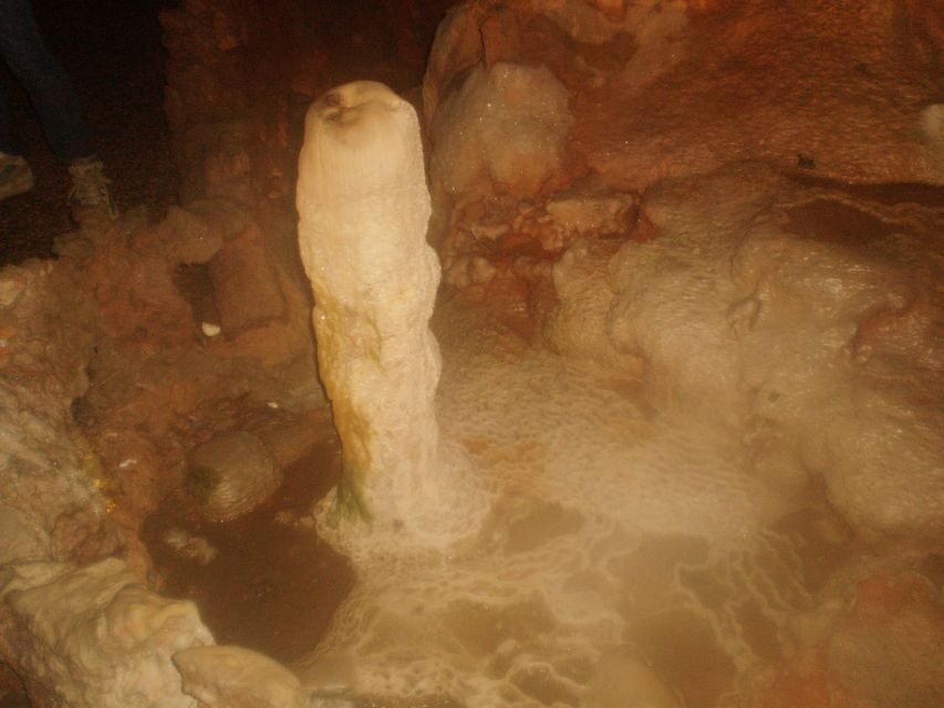 From Lisbon: Tomar Templar Full-Day Private Tour - The Value of This Tour