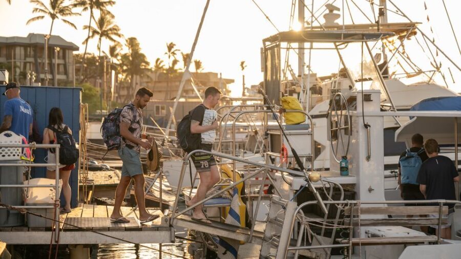 From Ma'alaea: Afternoon Whale Watch Tour Aboard the Malolo - The Value of This Whale Watch Tour