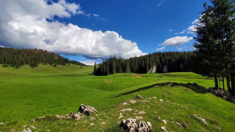 From Oradea: Apuseni Mountains Guided Hiking Tour