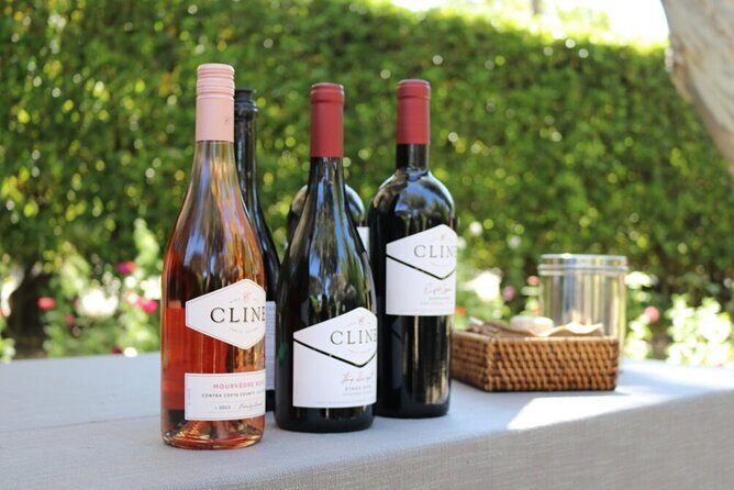 From San Francisco: Half-Day Wine Aficionado Tour with Tastings - Deep Dive into the Stops: What You Can Expect