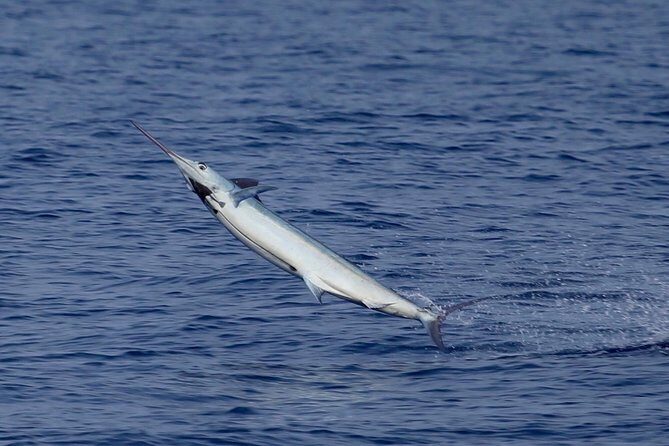 Full Day Sportsman/Enthusiast Charter - The Itinerary Breakdown