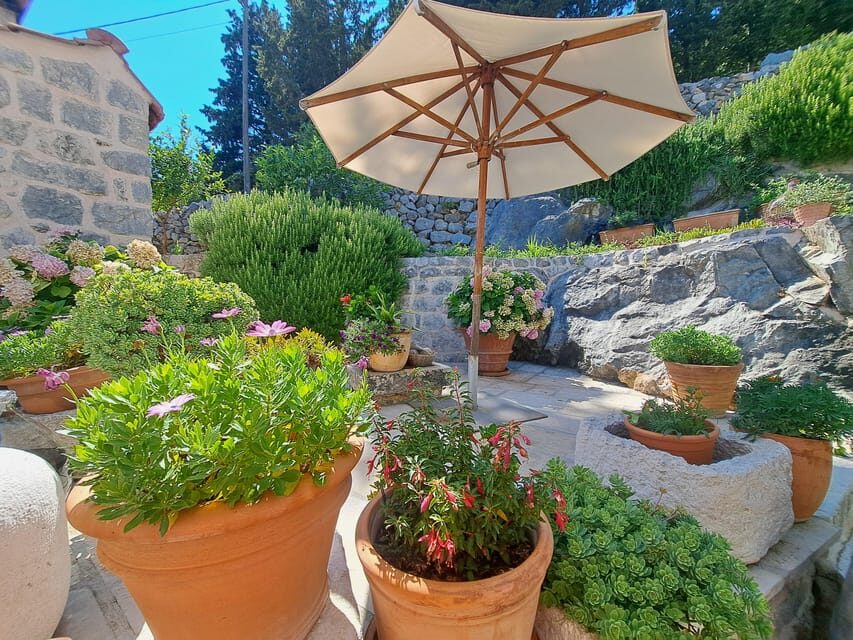 Gastro Sunset Tour - What You Can Expect from the Experience