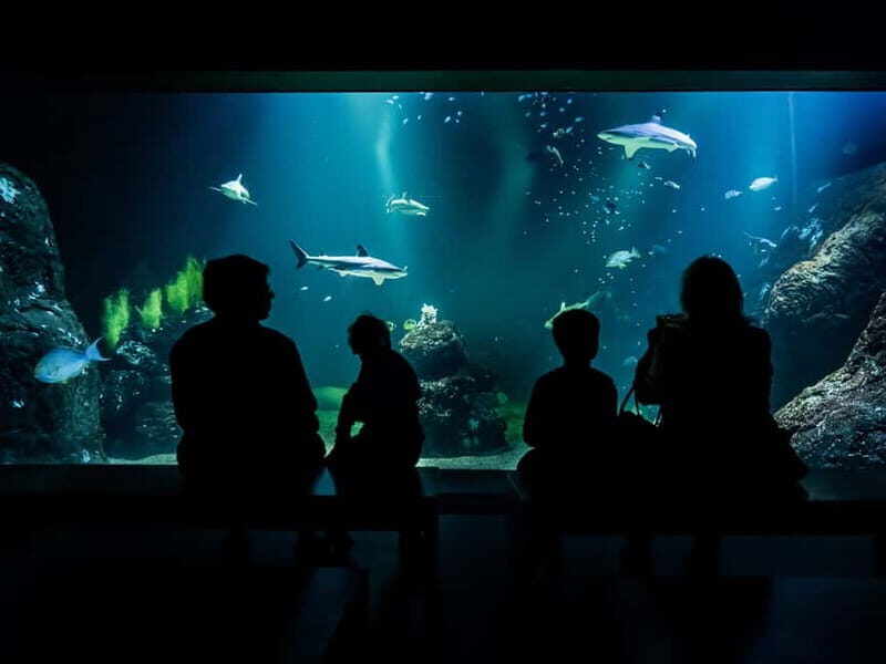 Gothenburg: Universeum Entry Ticket