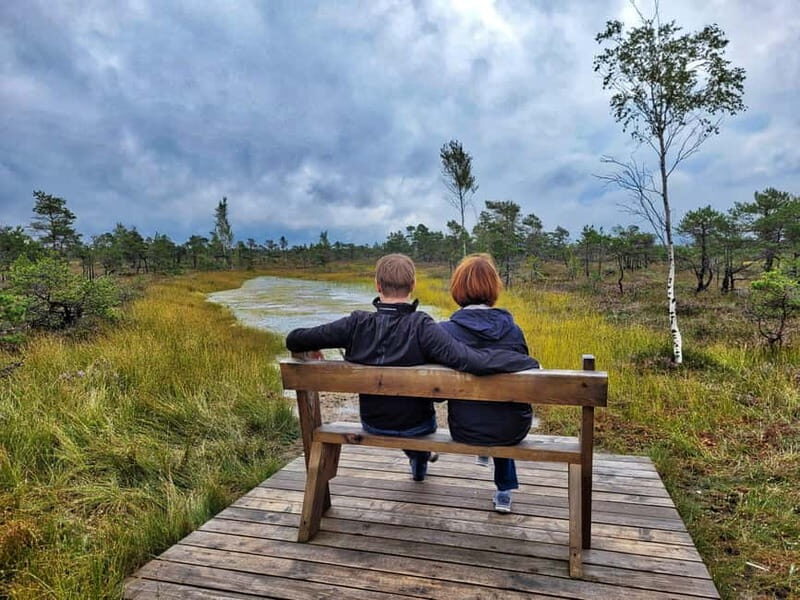 Great emeri Bog & Swamp Forest Hiking Adventure