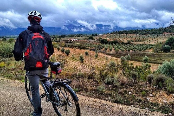 Greenway Section Cretas - Horta de Sant Joan 11km (90% descending 10% flat)