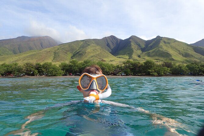 Group Snorkel Excursions in Lahaina, Maui - Detailed Itinerary Insights