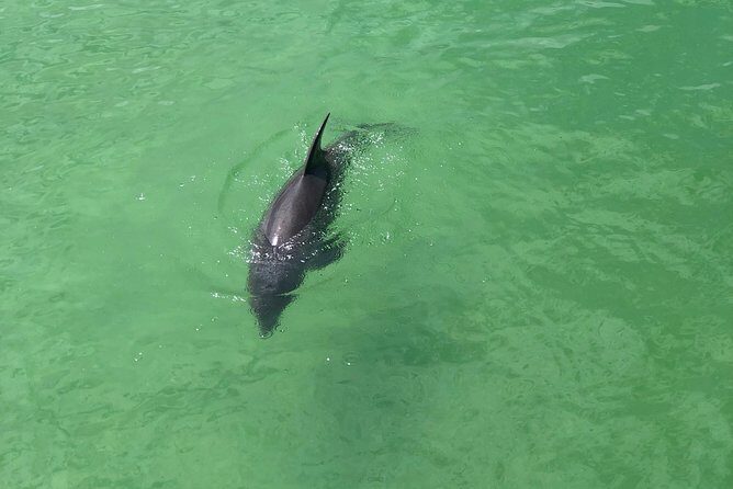 Guided Bike Tour - Downtown Naples Florida - What to Expect and Consider