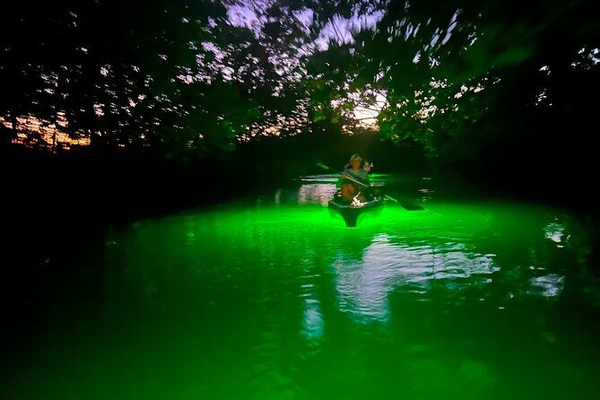 Guided Glow LED Kayak Sunset Activity in Bonita Springs - What’s Included and Practical Details