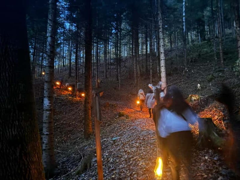 Guided llamawalk with a traditional, homemade cheesefondue