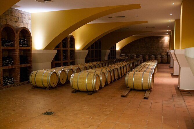 Half Day Wine Tasting with Dinner in Kos