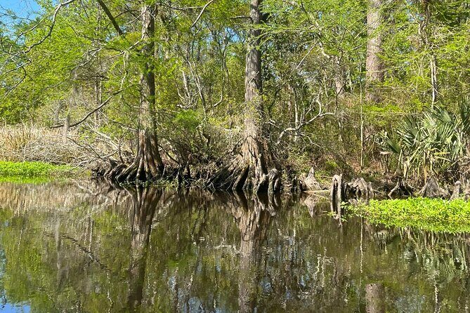 Historical Scenic Bayou Swamp Water Trail Kayak Tour - The Itinerary: What You’ll Encounter