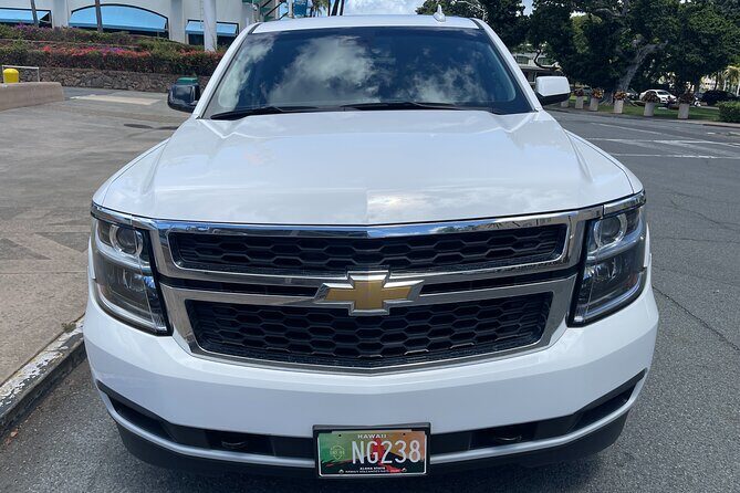 Honolulu Airport & Waikiki Hotels Private Transfer by SUV(up to 6 people) - Who Should Consider This Service?