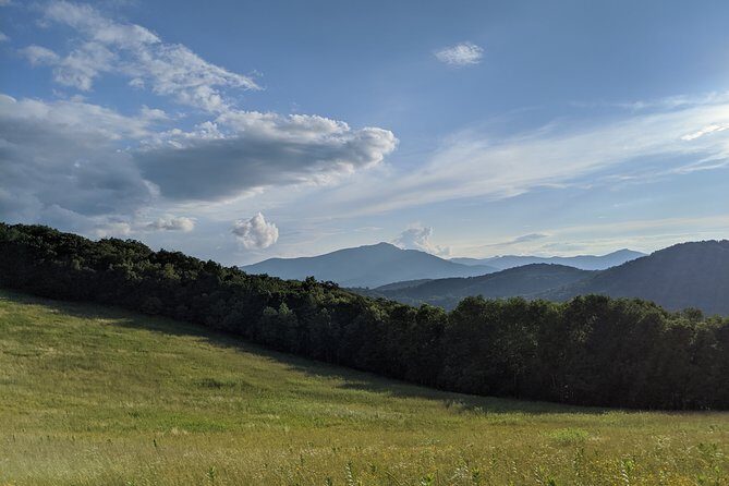 Horse and Carriage Ride through Moses H. Cone Park - Authentic Experiences and Travelers’ Impressions