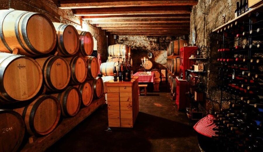 Hvar: Island tour with Wine and Olive Oil Tasting