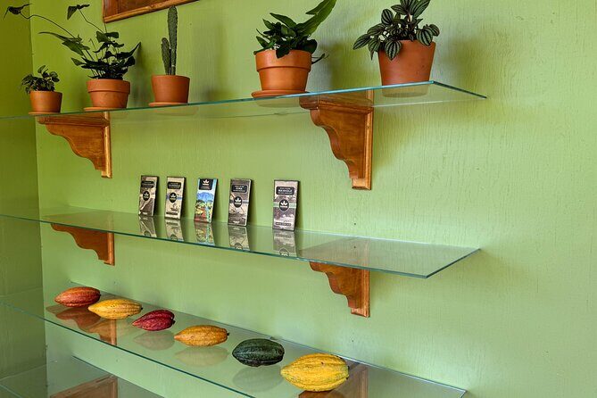 Kamananui Cacao Orchard Tour - Why This Tour Stands Out