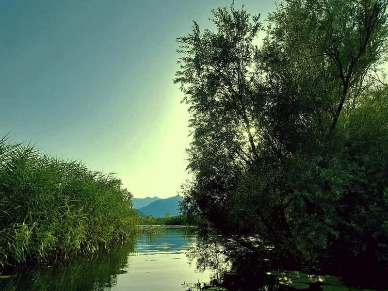 Kayak Adventure: Paddle your way through Lake Skadar