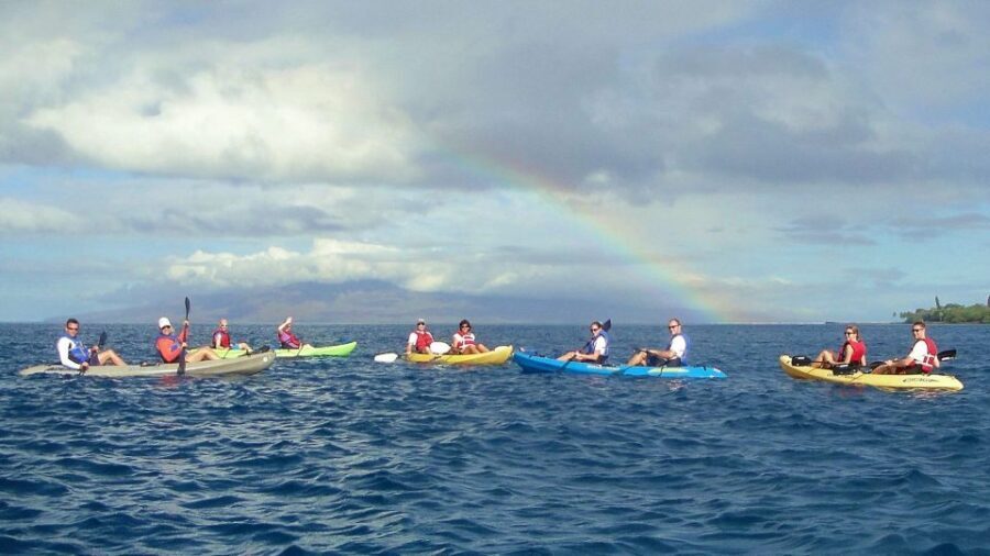 Kayak and Snorkel West Maui at Olowalu - Authentic Experiences and Honest Feedback