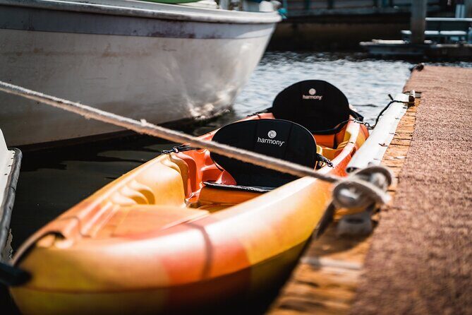 Kayak Rental in Redondo Beach, USA - Why Choose This Kayak Rental?
