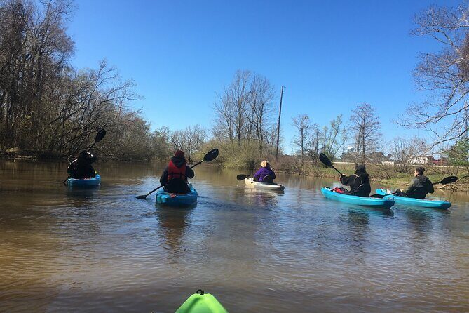 Kayak Tour Of The Honey Island Swamp and Backwaters - A Deep Dive into the Honey Island Swamp Kayak Tour