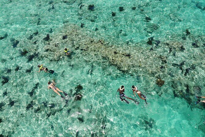 Key West Dolphin and Snorkel Experience - Analyzing the Value