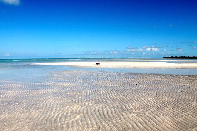 Key west sandbar/eco trip ran by husband and wife naturalist team - Final Thoughts: Why This Tour Is Worth Considering